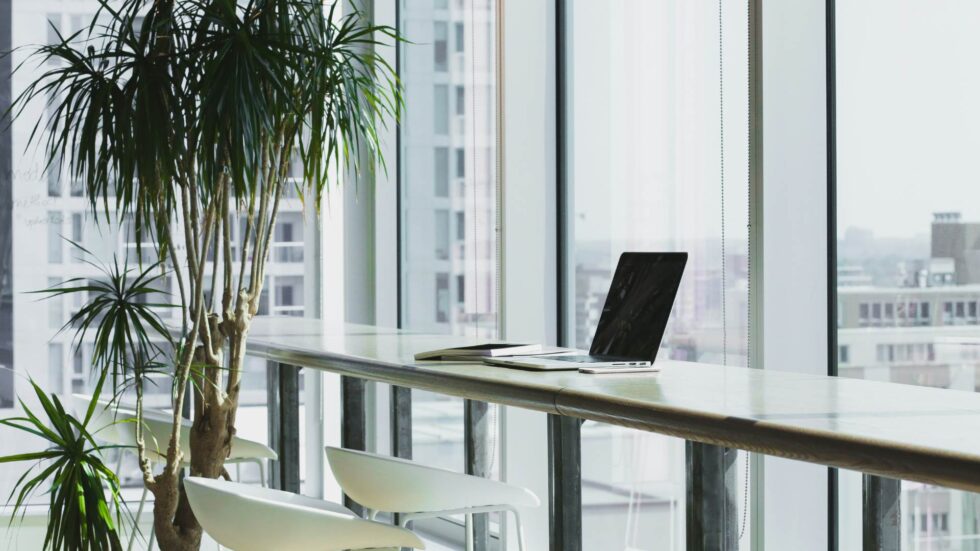 What is an IBC? - Widelia